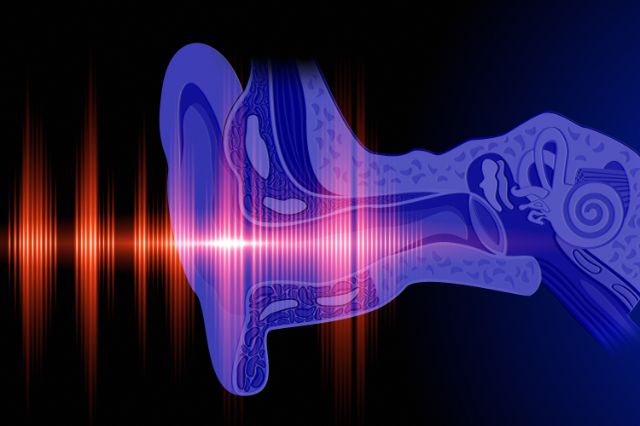 Hearing aid loop: what is it and how does it work