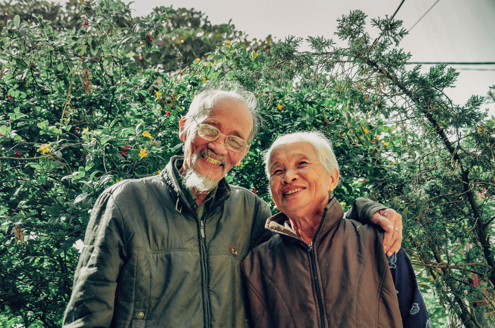 The ceruminous glands: their functions and cerumen production